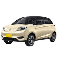 China Electric Car 2023 Chinese Double Cab 5 Seats 300km Mileage Max Speed 104km/h LED Camera Fabric Single Lithium Dark Manual for sale