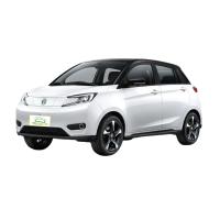 China 2023 Model Pure Electric Car YOUNG 302km Range 0.5h Fast Charge 4 Seats Full Load Weight 1080KG Maximum Power 35 100km/h for sale