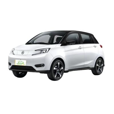 China 2023 Model Pure Electric Car YOUNG 302km Range 0.5h Fast Charge 4 Seats Full Load Weight 1080KG Maximum Power 35 100km/h for sale