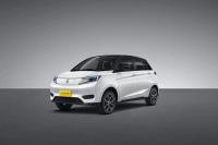China 2023 Model Pure Electric Car YOUNG 302km Range 0.5h Fast Charge 4 Seats Full Load Weight 1080KG Maximum Power 35 100km/h for sale