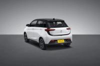 China 2023 Model Pure Electric Car YOUNG 302km Range 0.5h Fast Charge 4 Seats Full Load Weight 1080KG Maximum Power 35 100km/h for sale
