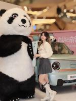 China GEELY Panda Mini 2 Speakers And 1 Camera Sport And Comfortable Two Driving Modes Choice Electric Car With Synchronous Motor for sale