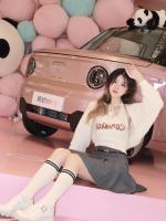 China GEELY Panda Mini 2 Speakers And 1 Camera Sport And Comfortable Two Driving Modes Choice Electric Car With Synchronous Motor for sale