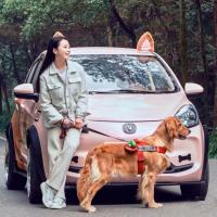 China Changan Benben E-Star Electric Car 2023 Model 5 Door 5 Seats Pure Electric 75HP 301km Range 101km/h Full load weight 1150KG for sale