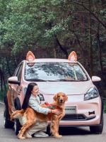 China Changan Benben E-Star Electric Car 2023 Model 5 Door 5 Seats Pure Electric 75HP 301km Range 101km/h Full load weight 1150KG for sale