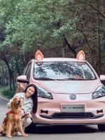 China Changan Benben E-Star Electric Car 2023 Model 5 Door 5 Seats Pure Electric 75HP 301km Range 101km/h Full load weight 1150KG for sale