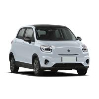 China 2023 Electric Suv Leapmotor T03 Left Hand Drive Suv Electric Cars with Customized Lithium Iron Phosphate Battery Perfect for sale