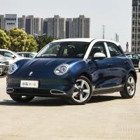 China Electric Funky Good Ev Ora Cat Compact Car Unky Cat Luxury Ternary Lithium Battery Ev 2024 Mini Vehicle High Speed Energy Car for sale