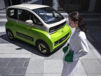 China Lithium Battery Powered 2023 Baojun Adult Mini Electric Car Convenient And Rechargeable Mini Four Wheel Two Door Vehicle for sale