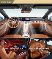 China 4871x1862x1500 Dimension Fast Charging ORA Lightning Cat 555km Endurance 2023 Electric Vehicle for Women for sale