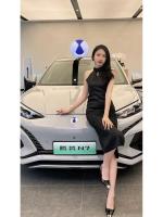 China Maximum torque 360N.m DENZA N7 2024 ultra long range 702km edition 230kW 313hp motor 5 door 5 seats SUV 91.3kWh blade battery for sale