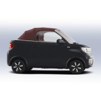 China 2024 Wuling Micro EV 3 Door 2 Seat Electric Car with 13.8kwh Battery Capacity and WHEELBASE 2010mm for sale