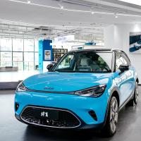 China 66 Kwh Battery Capacity Energy Vehicle CLTC 535Km Smart Car 2022 Beautiful Design EV Car Elf 1 Pure SUV with Left Steering for sale