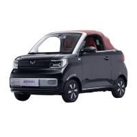 China 2024 Wuling Micro EV 3 Door 2 Seat Electric Car with 13.8kwh Battery Capacity and WHEELBASE 2010mm for sale
