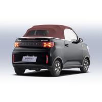 China 2024 Wuling Micro EV 3 Door 2 Seat Electric Car with 13.8kwh Battery Capacity and WHEELBASE 2010mm for sale