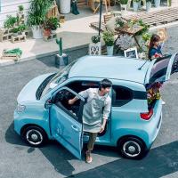 China Blue Wuling Hong Wuling Hongguang Miniev 2023 Mini Macaron Smart Car with Fuel 100% Electric for sale