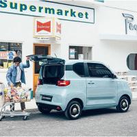 China Blue Wuling Hong Wuling Hongguang Miniev 2023 Mini Macaron Smart Car with Fuel 100% Electric for sale
