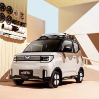 China Rear Drive Small Energy Electric Vehicles Cars Wulinghongguang MINI Electric Car Vehicle Custom's Requirement for sale