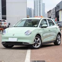 China Hot Mini ORA EV Car Energy Vehicles 2023 ORA Good Cat Electric Car with 170 HP Motor and 425/600 km Cruising Range for sale