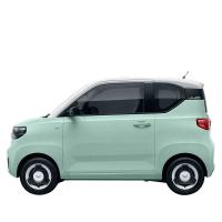 China Manual Adjustment LED Camera Fabric EV Car Wuling Mini EV Chinese Electric Mini Car Sports Vehicle 4 Wheels Sedan Single Left for sale