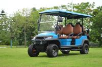 China Minimum turning radius 5.25m Lifted 2 4 6 Seat Electric Lithium Battery Golf Cart Hunting Golf Buggy car with DOT EEC for sale