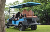 China Minimum turning radius 5.25m Lifted 2 4 6 Seat Electric Lithium Battery Golf Cart Hunting Golf Buggy car with DOT EEC for sale