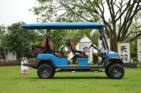 China Minimum turning radius 5.25m Lifted 2 4 6 Seat Electric Lithium Battery Golf Cart Hunting Golf Buggy car with DOT EEC for sale