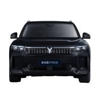 China 200Km/h Max Speed Electric Car Voyah Free 5-Seat SUV with Hybrid Technology and Body Structure for sale