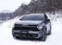 China Compact SUV Automatic Gasoline Car Fuel vehicle Cars ESC Electronic Stability Control System Yes Curb Weight 1000kg-2000kg for sale
