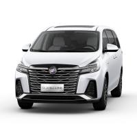 China Max Speed 195km/h Fuel Type Gasoline 2024 Luxury 5-Door 7-Seater MPV Economical Energy Vehicle Beautiful Luxurious for sale