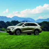 China LED Daytime Light Haval Xiaolong MAX 23 Elite Edition 1.5L 105km Electric Car AWD Light Interior Leather Hybrid ACC R19 for sale
