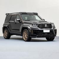China 2023 Tank 300 Upgrade Version 700 Super 4x4 SUV Off-road Gasoline Car with Car Entertainment System and LED Daytime Light for sale