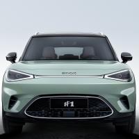 China Smart Elf 1 Light Blue Mini SUV Ternary Lithium Electricity Battery Type Electric Car 2024 Home Using Energy for Teenagers for sale