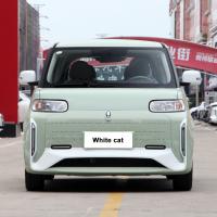 China Pure Electric 48 Horsepower ORA White Cat 305km Range 4-Seater Hatchback Energy Vehicle 0km Used Mini Electric Car Adult for sale
