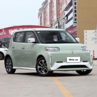 China Pure Electric 48 Horsepower ORA White Cat 305km Range 4-Seater Hatchback Energy Vehicle 0km Used Mini Electric Car Adult for sale