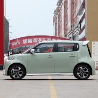 China Pure Electric 48 Horsepower ORA White Cat 305km Range 4-Seater Hatchback Energy Vehicle 0km Used Mini Electric Car Adult for sale
