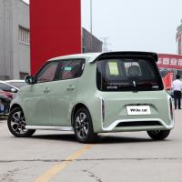 China Pure Electric 48 Horsepower ORA White Cat 305km Range 4-Seater Hatchback Energy Vehicle 0km Used Mini Electric Car Adult for sale