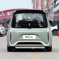 China Pure Electric 48 Horsepower ORA White Cat 305km Range 4-Seater Hatchback Energy Vehicle 0km Used Mini Electric Car Adult for sale