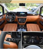 China 2023 Hongqi HQ9 2.0T 252HP Gasoline MPV The Ultimate Family Vehicle with Macpherson Front Suspension for sale