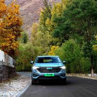 China 2024 GWM Haval H6 Car Shop Online Plug In Hybrid SUV 1.5T DHT PHEV Maximum Engine Power 240kW 110km Version Energy Vehicle for sale
