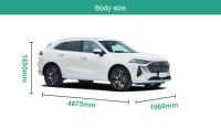 China WEY Mocha 01 2.0T 2023 Multi-function Steering Wheel Electric Rear Window Petrol Car In Stoc for sale