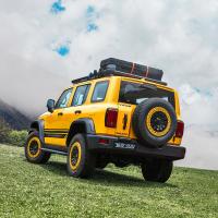 China 2023 Great Wall Compact SUV TANK 300 Off Road Version 2.0T 4WD 5 Seats Wheel Base 2750 Emission standard Euro VI Used Car for sale