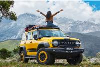 China 2024 Great Wall 300 2.0T Petrol Euro VI 4WD 227Ps 167kW 387Nm Compact SUV with Fuel Efficiency and Power for sale