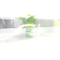 China P4-8 Soft Adhesive Transparent LED Display Film 240x1500mm 4000cd Brightness 3.5kg Weight for sale
