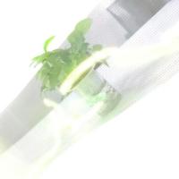 China P4-8 Soft Adhesive Transparent LED Display Film 240x1500mm 4000cd Brightness 3.5kg Weight for sale