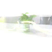 China P4-8 Soft Adhesive Transparent LED Display Film 240x1500mm 4000cd Brightness 3.5kg Weight for sale