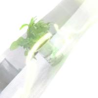 China P8-8 Adhesive Transparent LED Display 240x1000mm with 1000-4000 Nits Brightness for Supermarket Windows for sale