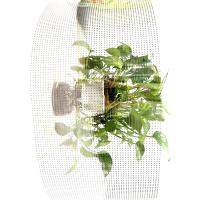 China Indoor P4 Transparent Adhesive LED Film Display - 240x1500mm Panel Size, 1000-4000 Nits Brightness for sale
