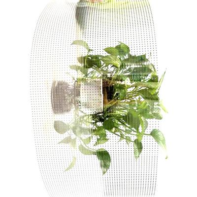 China Indoor P4 Transparent Adhesive LED Film Display - 240x1500mm Panel Size, 1000-4000 Nits Brightness for sale