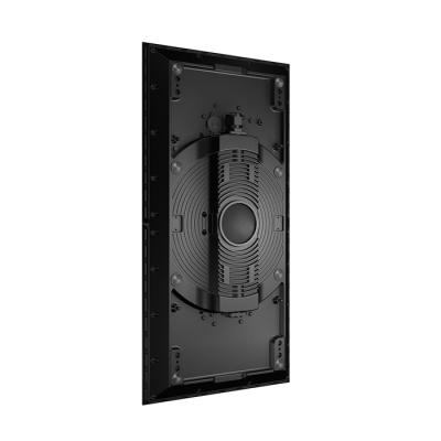 China 250x500mm Outdoor LED Display Module P2.97/P3.91 with Die Casting Aluminum, 3.5kg Weight, IP66 Rating for sale
